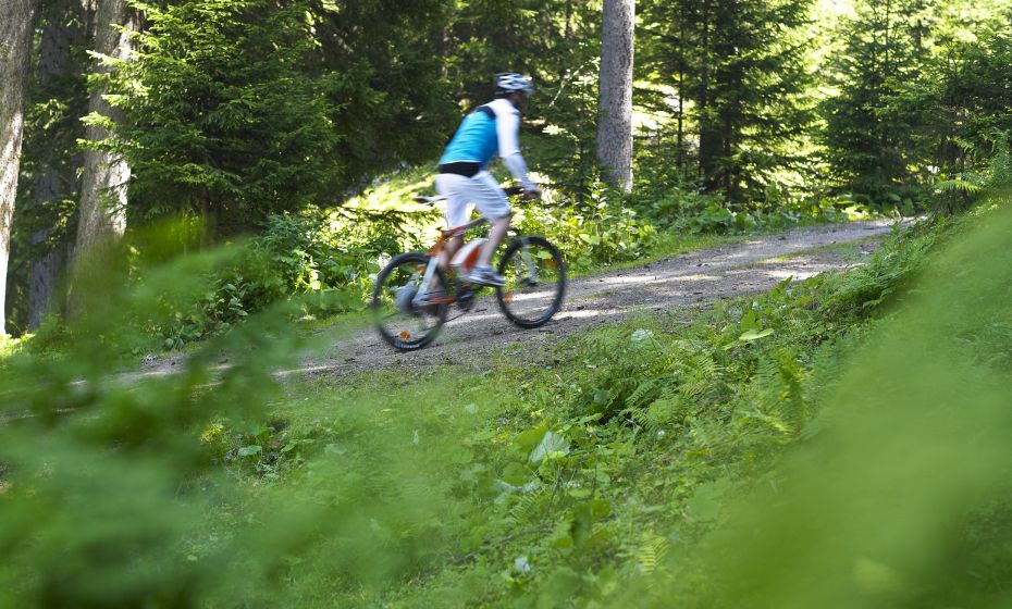 Bärger Tour | Stadtmarketing Hohenems