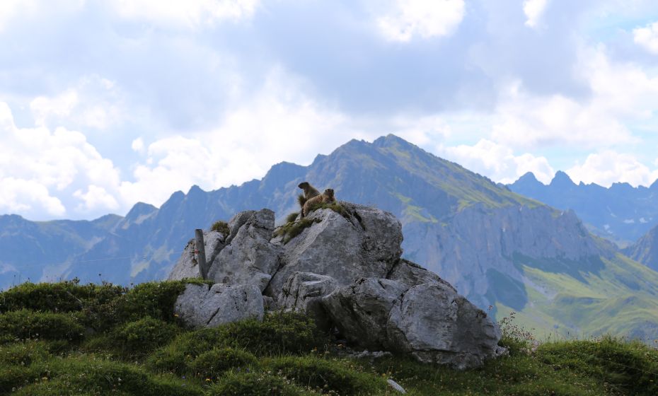 Rätikonrunde Montafon - Carschinahütte bis Tilisunahütte ...