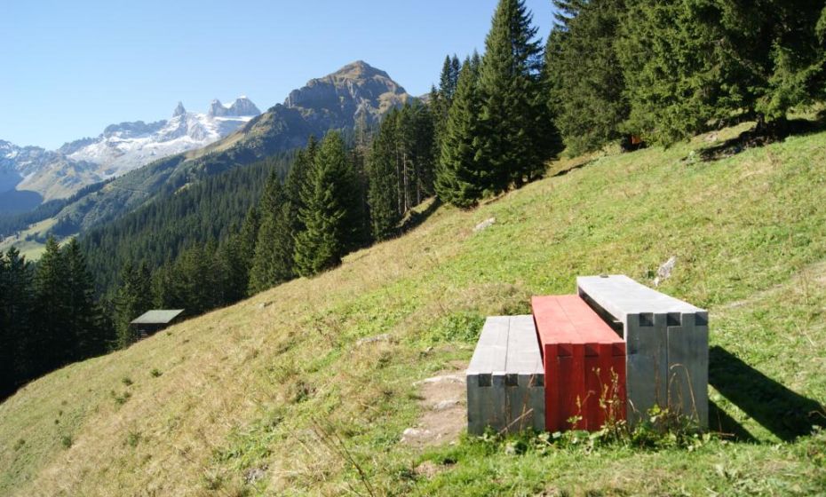 Latschätzalpe - Wachters Dieja | Stadtmarketing Hohenems